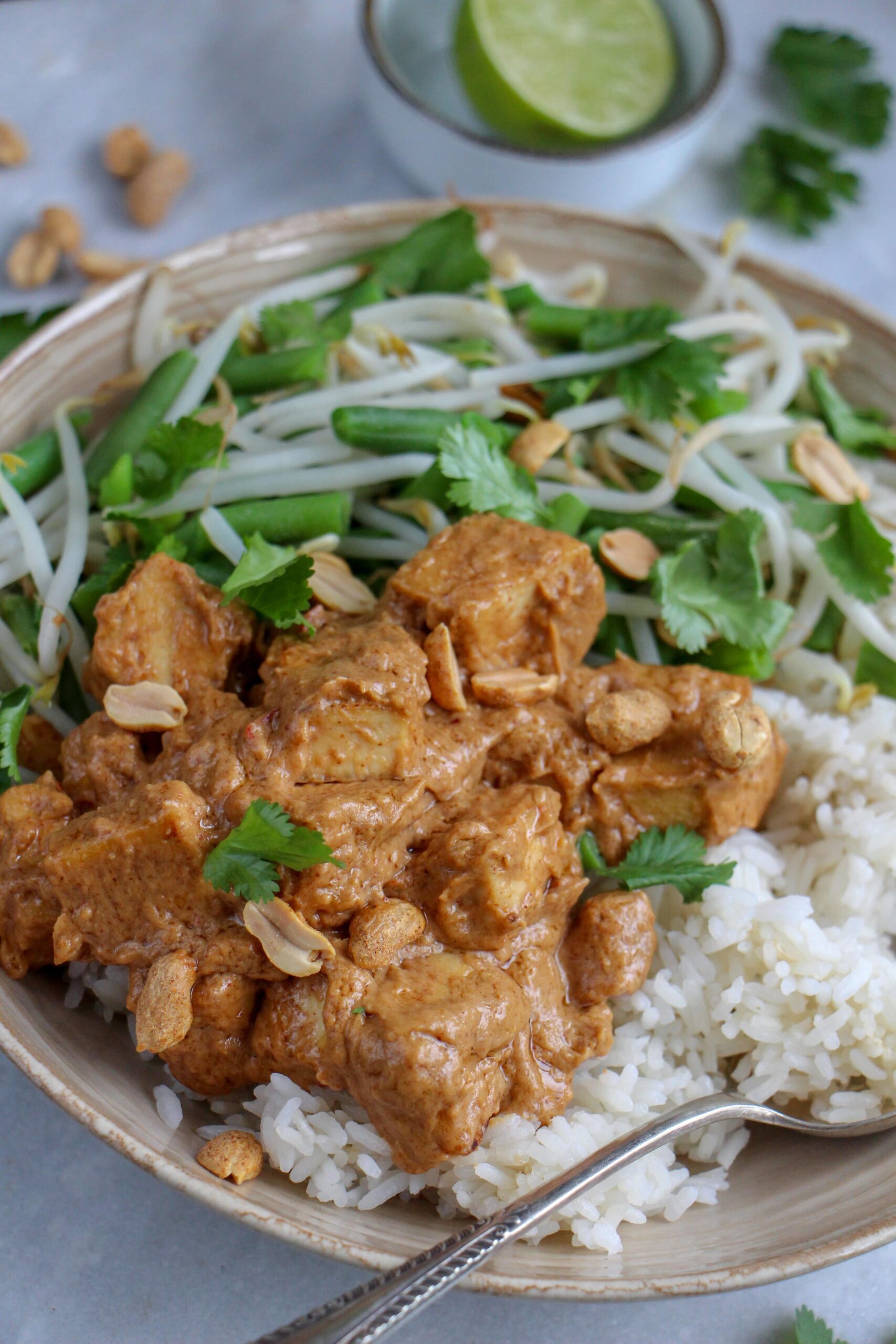 Vegetarische saté recept met tofu en rijst - Vega Makkelijk